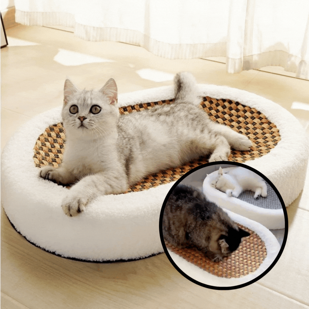 Cat Scratch Lounge - Plush cat bed with scratchable surface – Zoraro
