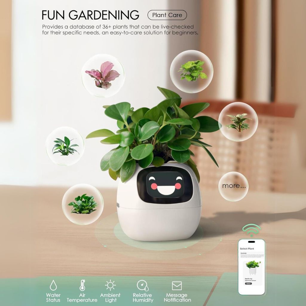 Modern Self-Watering Indoor Plant Pot – Zoraro